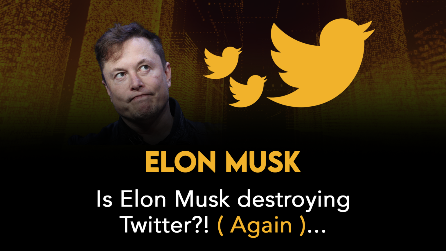 Is Elon Musk destroying Twitter ?! Again... - Unbox Diaries