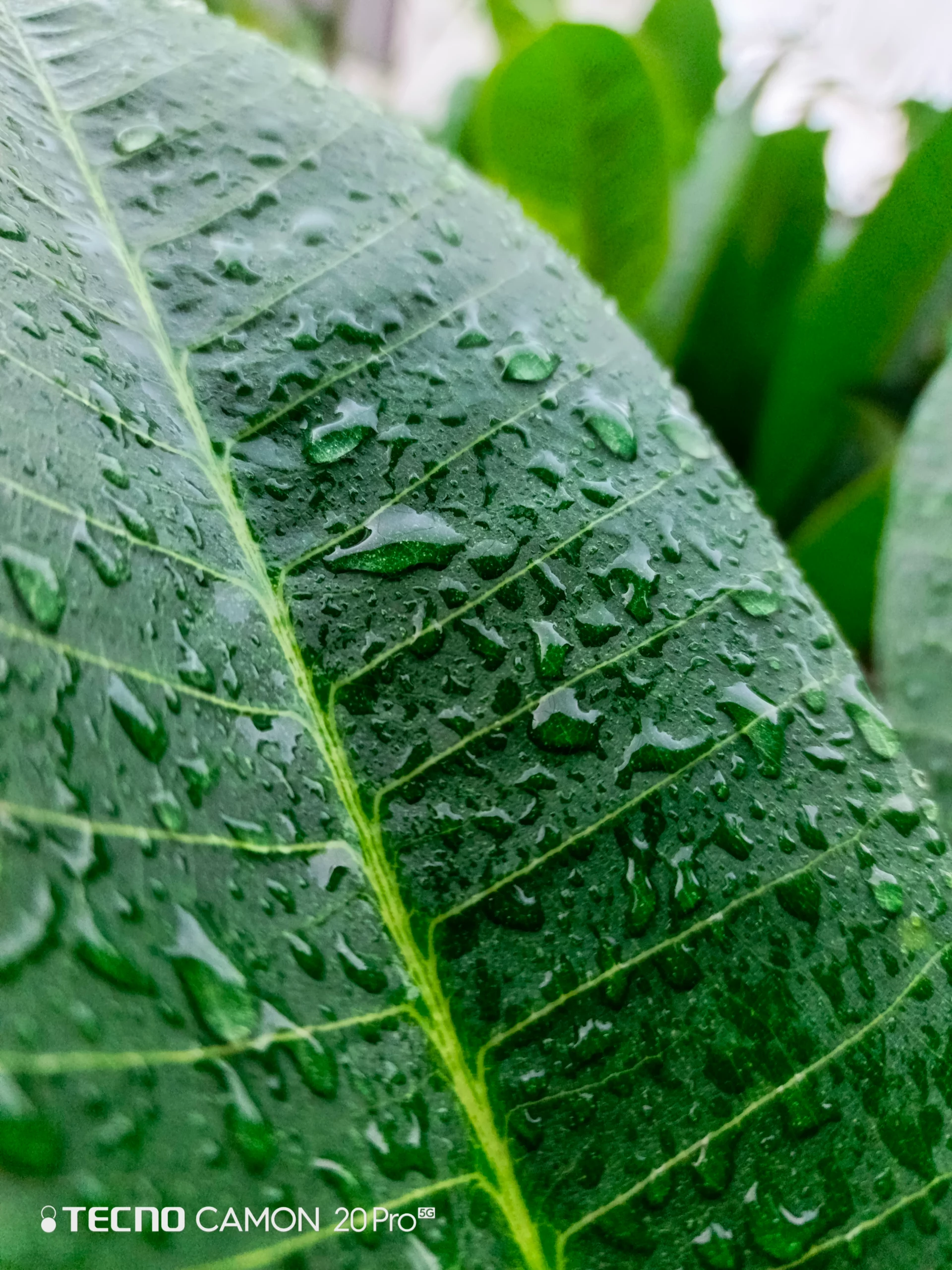 TECNO CAMON 20 Pro 5G full review: this is the best, period. (Philippines)