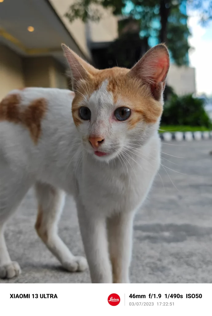 Xiaomi 13 Ultra review: The ultimate enthusiast’s dream phone, realized ...