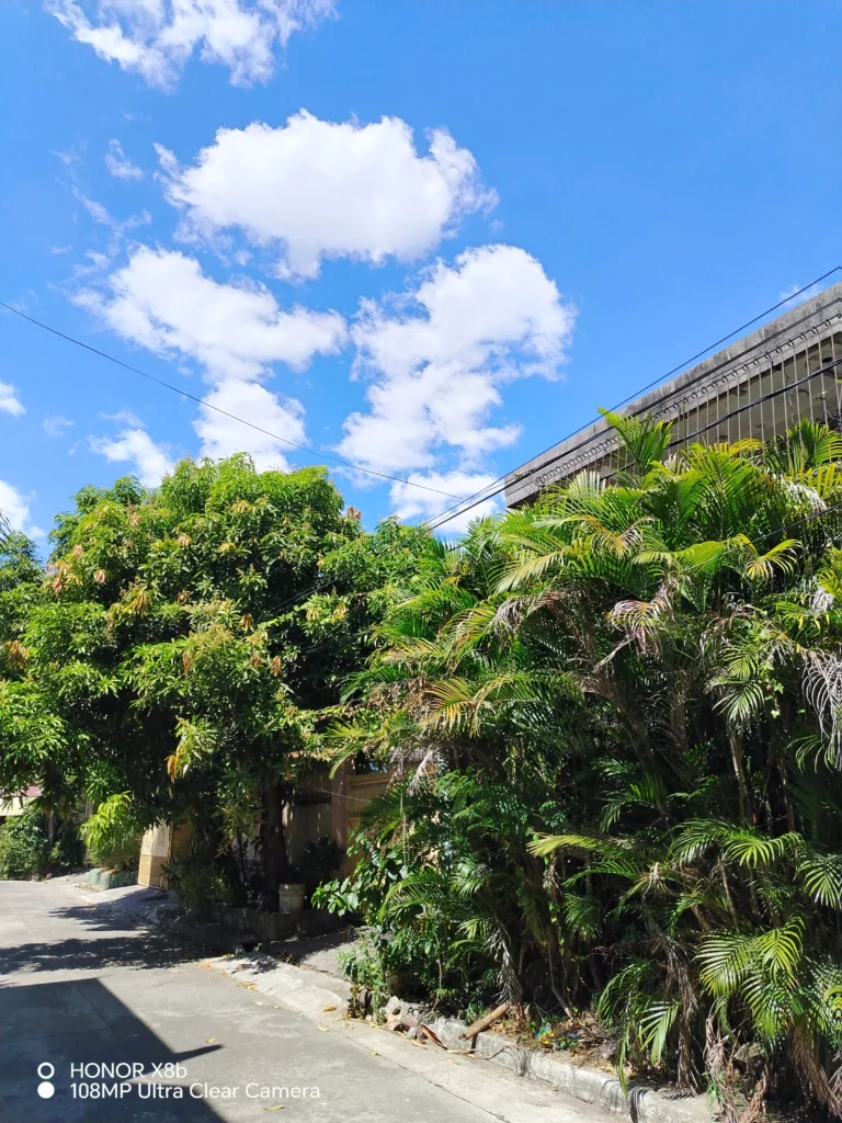 HONOR X8b Full Review - A dynamic and affordable camera expert! - Unbox ...