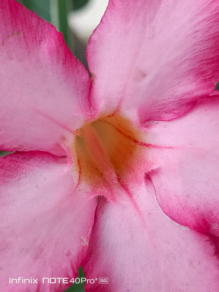 Infinix NOTE 40 Pro+ 5G Full Review - A Mid-Range Powerhouse with ...